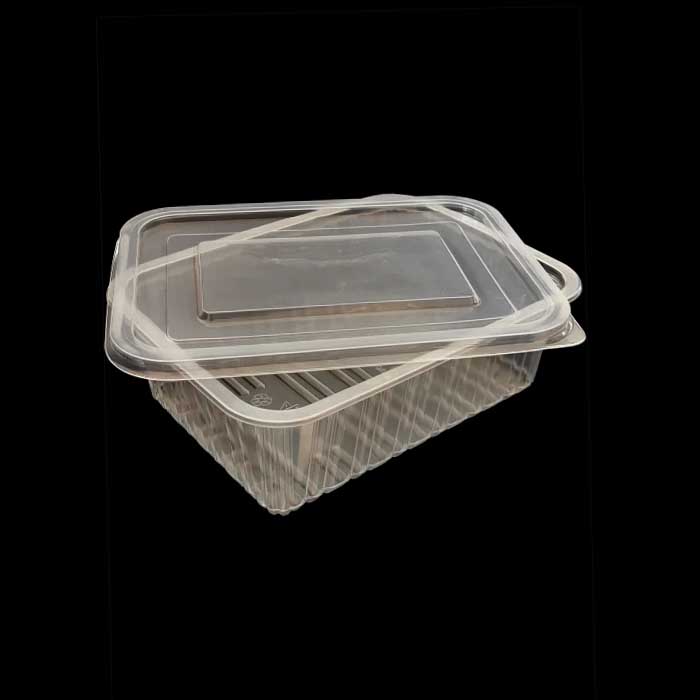 5×7 1000ml Clear Container with Lid “XPRO” – 10 pieces – Bluewave ...