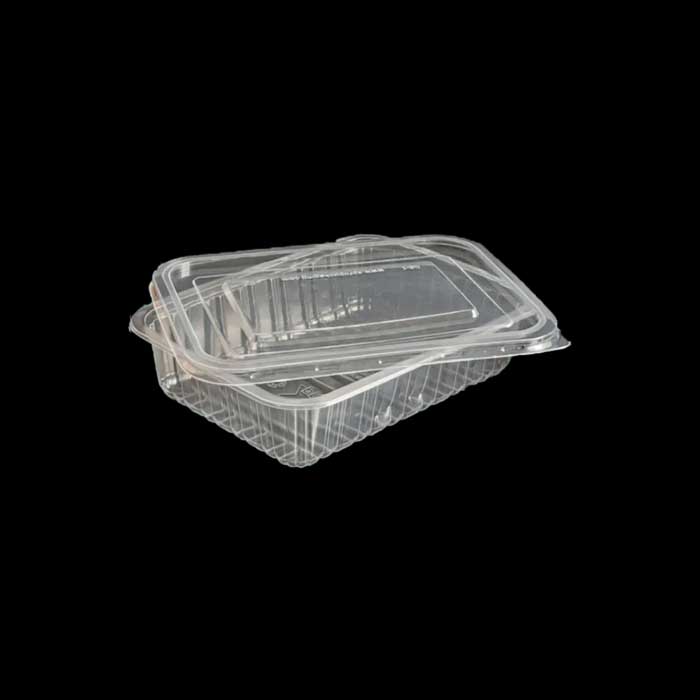 5×7 500ml Clear Container with Lid “XPRO” – 10 pieces – Bluewave ...